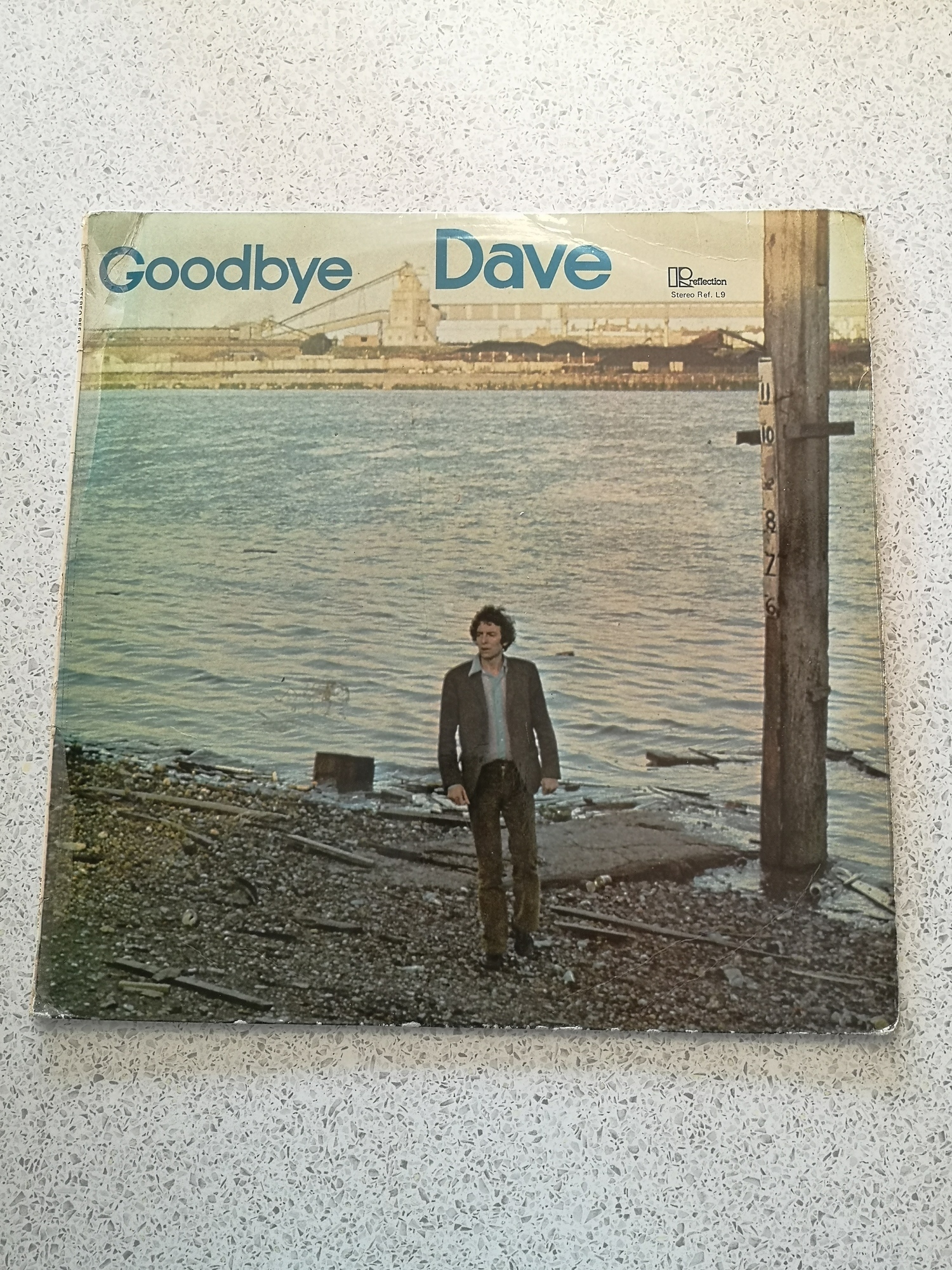 Goodbye Dave for sale | elvinyl