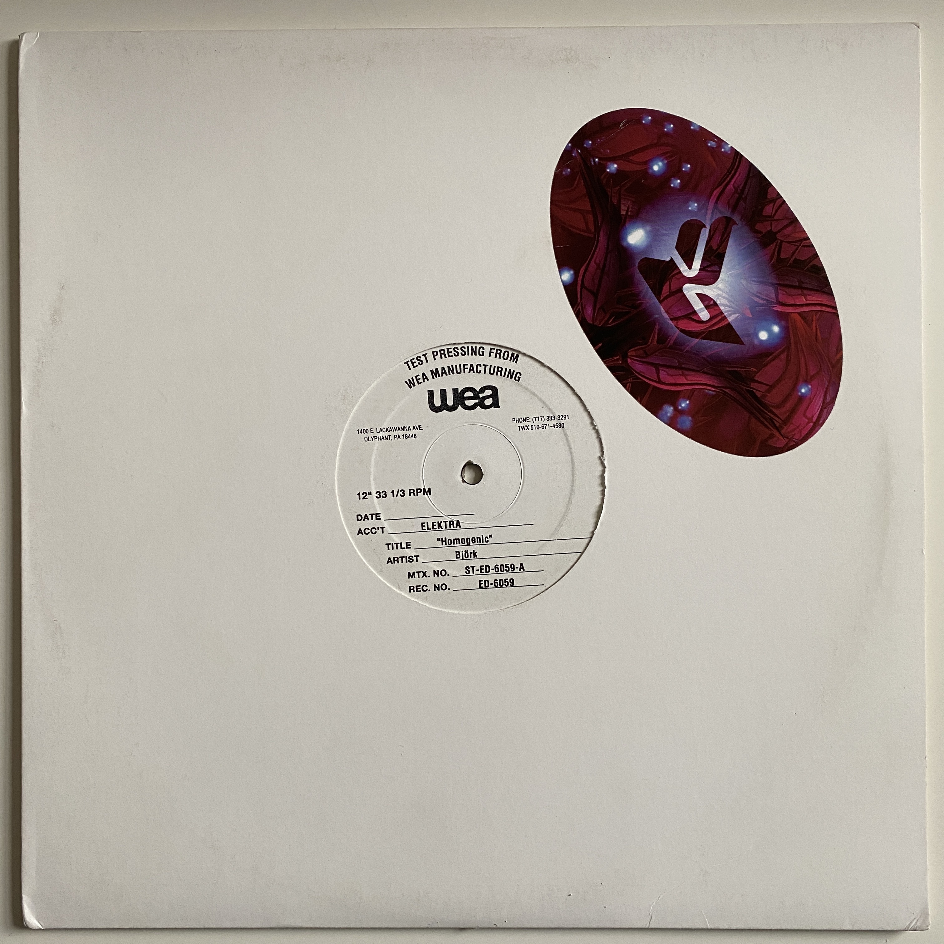 Homogenic for sale | elvinyl