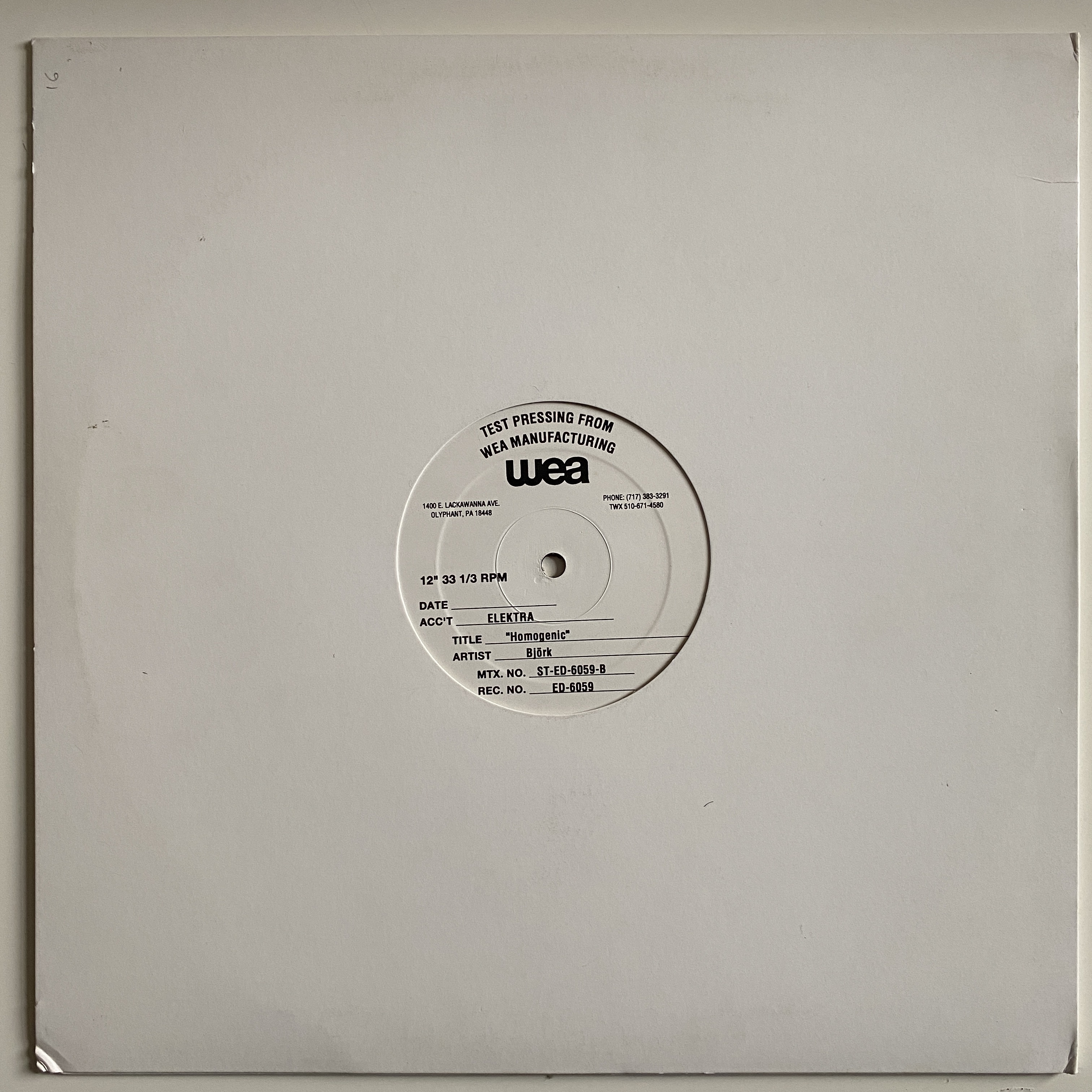 Homogenic for sale | elvinyl