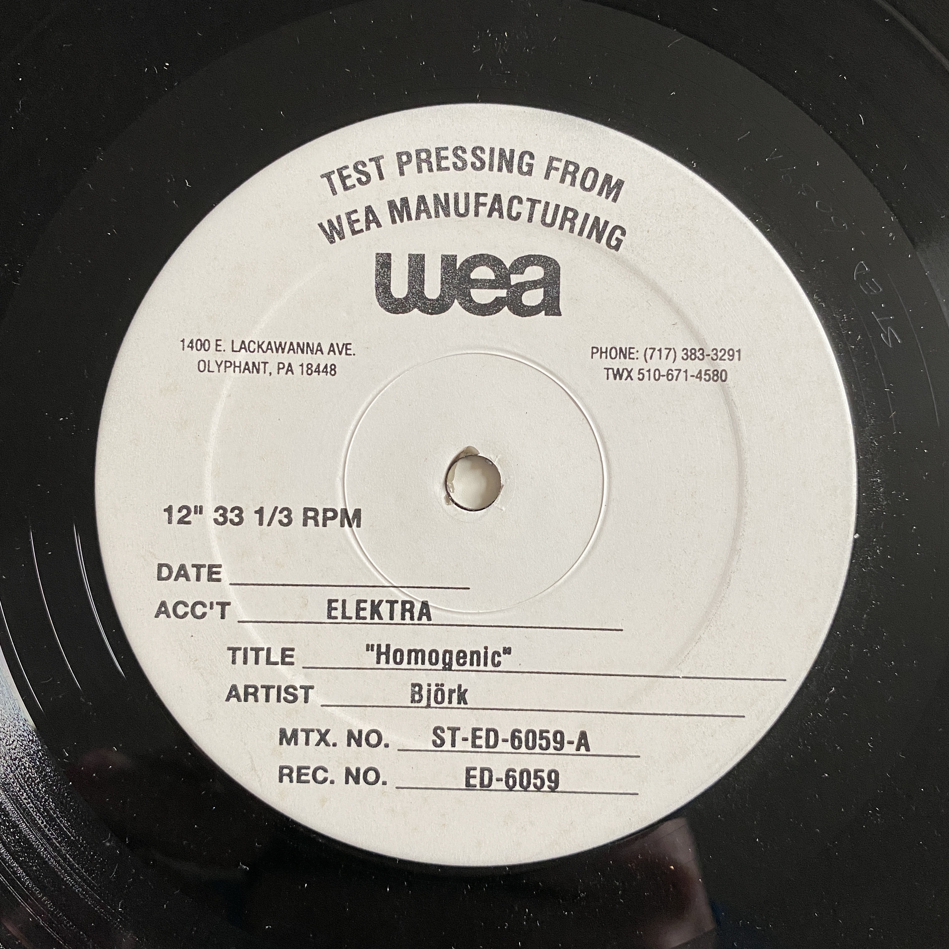 Homogenic for sale | elvinyl