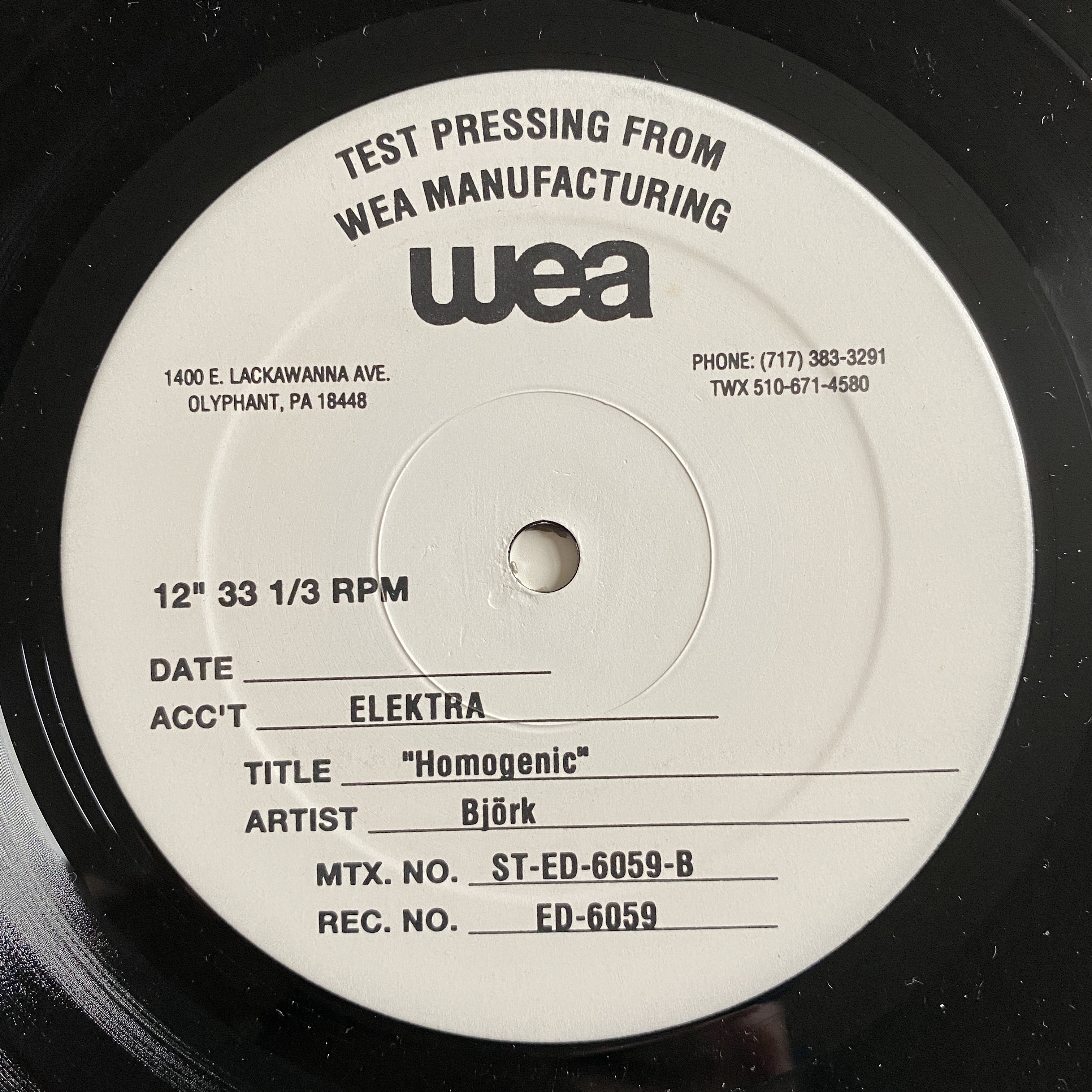 Homogenic for sale | elvinyl