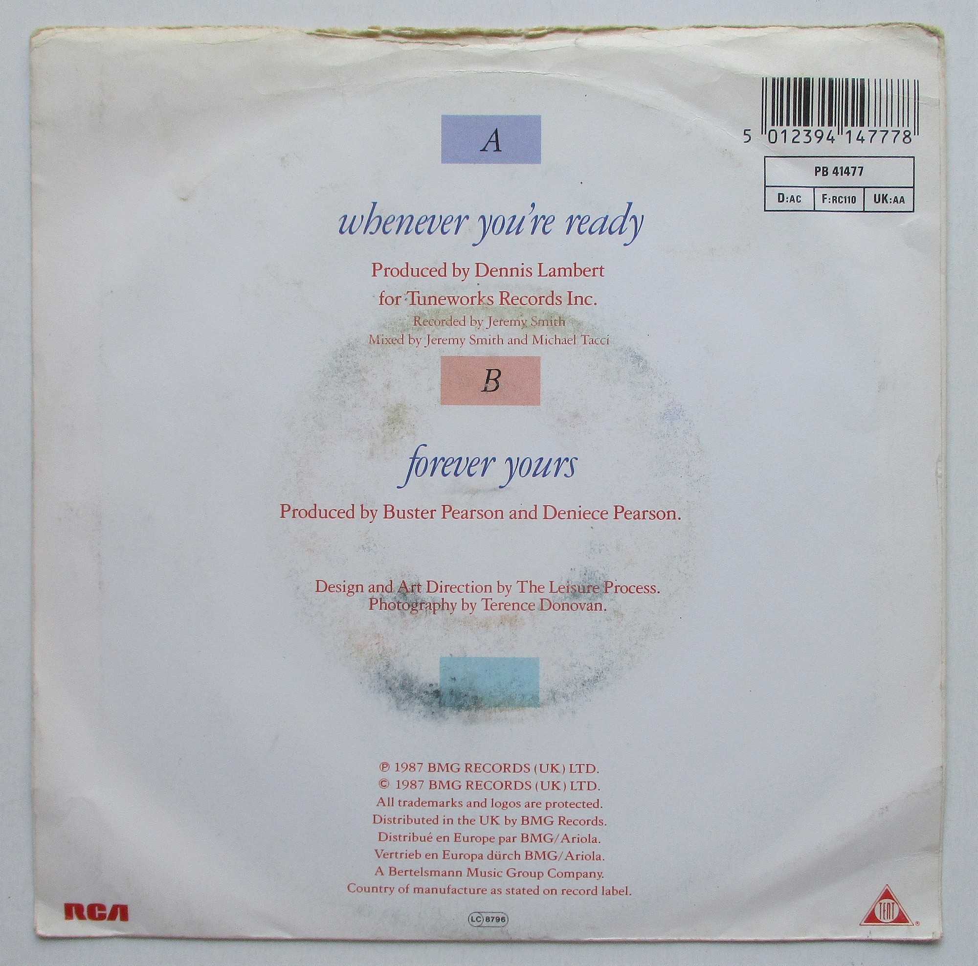 Whenever You're Ready for sale | elvinyl